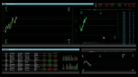 Auctioneer Stock Footage ~ Royalty Free Stock Videos | Page 9
