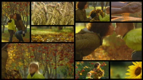 Autumn Fall Video Stock Videos – Royalty-Free HD & 4K Videos