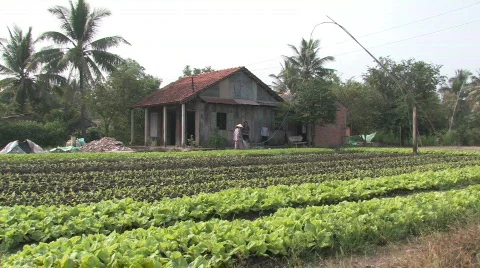 Delta Video Stock Videos – Royalty-Free HD & 4K Videos | Page 2