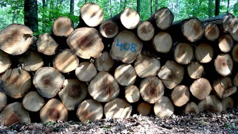 Plant Numbers Stock Video Footage | Royalty Free Plant Numbers Videos ...