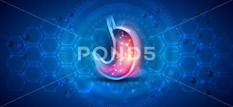 Stomach anatomy scientific background: Graphic #101832309