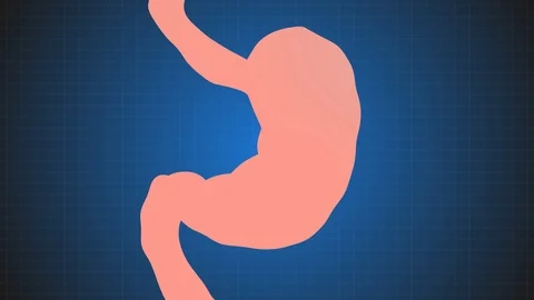 Stomach pain, animation. Spasm in the st... | Stock Video | Pond5