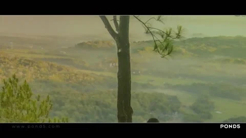 Stomp Opener ~ After Effects Project ~ AE #158670662 | Pond5