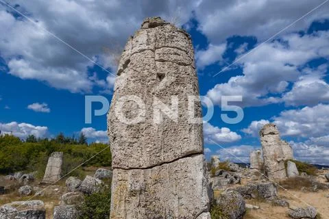 Stone column in Pobiti Kamani - natural phenomenon Stone Forest in ...