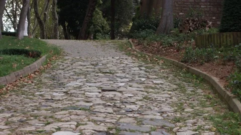 Stone paths in the street and in the par... | Stock Video | Pond5