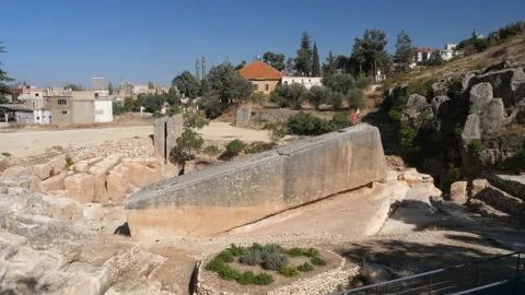 Pregnant Woman Definition Stock Videos – Royalty-Free HD & 4K Videos