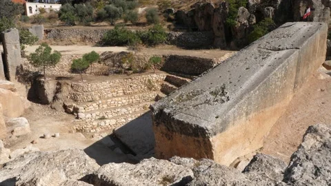 Pregnant Woman Definition Stock Videos – Royalty-Free HD & 4K Videos