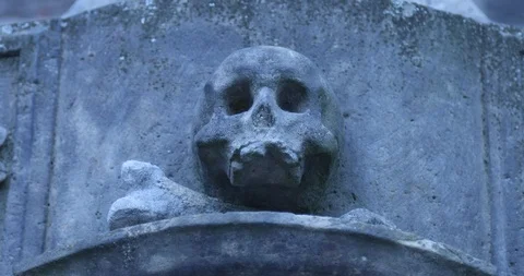 Stone Skull sculpture at monument | Stock Video | Pond5