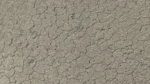Seamless Cracked Stone Texture