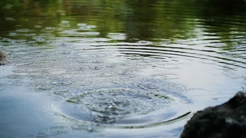 stone throw in to water, clean waterand ... | Stock Video | Pond5