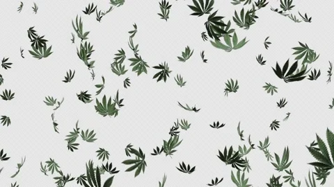 Stoner Day animation weed leaf 3d vj loo... | Stock Video | Pond5