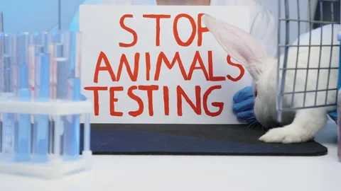 Stop animal testing, poster in human han... | Stock Video | Pond5
