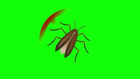 Stop cockroaches sign 2d animation | Stock Video | Pond5