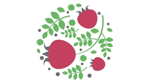 Stop Vector Stock Videos – Royalty-Free HD & 4K Videos