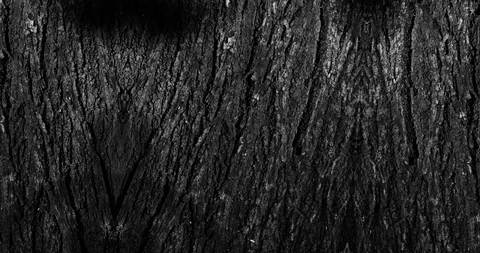 Stop Motion Texture Stock Video Footage | Royalty Free Stop Motion ...