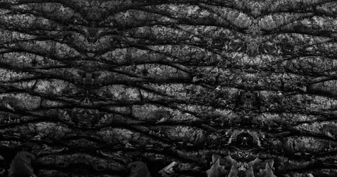 Stop Motion Texture Stock Video Footage | Royalty Free Stop Motion ...