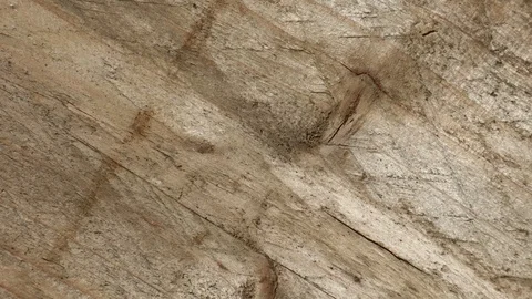 Stop motion animated wood texture backgr... | Stock Video | Pond5