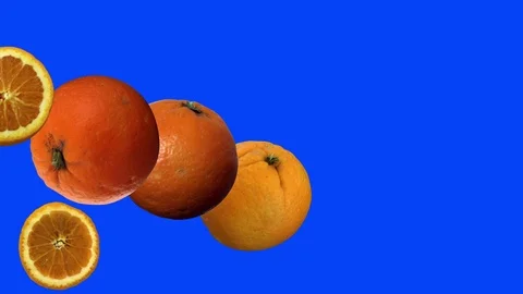 stop motion animation of oranges, blue e... | Stock Video | Pond5