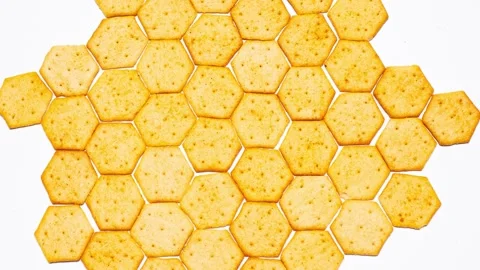 Photography Natural Background Stock Videos – Royalty-Free HD & 4K Videos