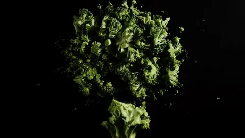 Green Stop Stock Footage ~ Royalty Free Stock Videos | Pond5