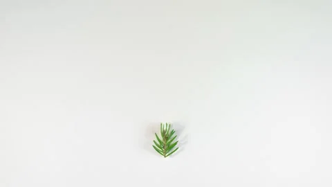 Xmas Stop Motion Stock Videos – Royalty-Free HD & 4K Videos