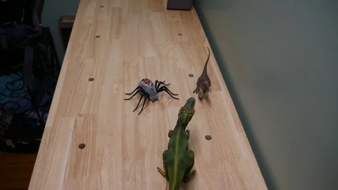 stop motion spider eating dinosaurs. | Stock Video | Pond5