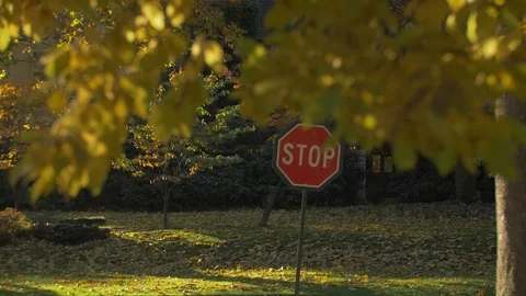 Stop sign in the fall surrounded by chan... | Stock Video | Pond5