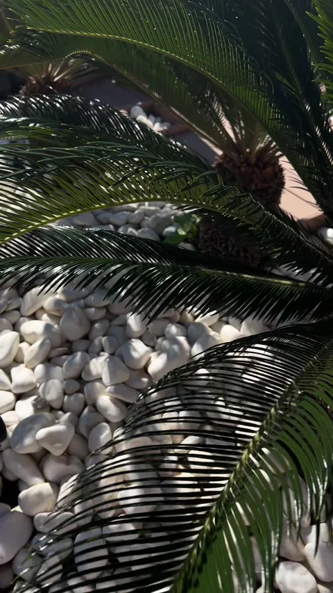 White Instagra Stock Videos – Royalty-Free HD & 4K Videos | Pond5