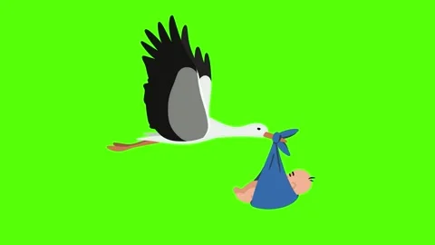 Stork Bird with Baby Flying on Green Scr... | Stock Video | Pond5
