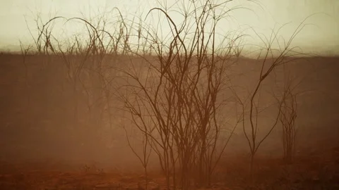 Storm of dust and sand in desert | Stock Video | Pond5