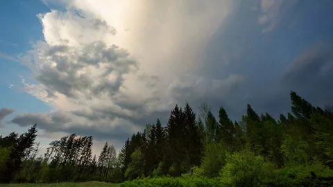 Storm sky over forest. Sunset sky with f... | Stock Video | Pond5