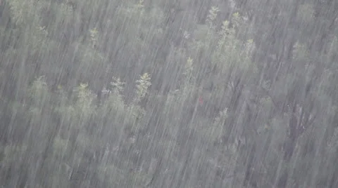 Windy Rainny Day Stock Videos – Royalty-Free HD & 4K Videos