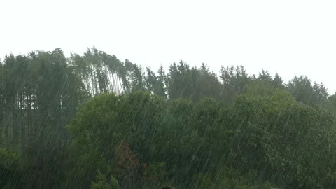 Stormy rain in forest. Heavy rain fallin... | Stock Video | Pond5