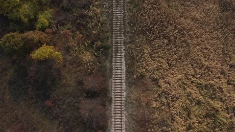 Straight ancient railroad sleepers in a ... | Stock Video | Pond5