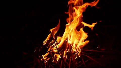 Straight fire flame view, Close-up of bu... | Stock Video | Pond5