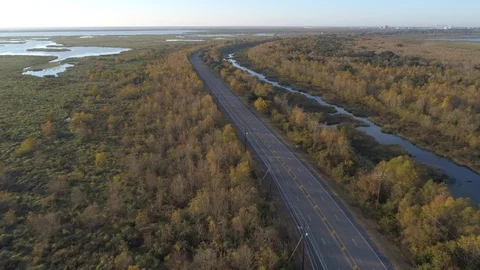 Straight Forest Road Stock Videos – Royalty-Free HD & 4K Videos