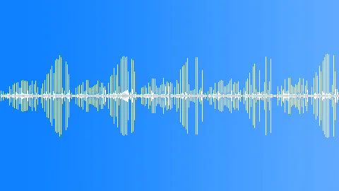 Sound Effect: Strange Jungle Insect Clicking at Night ~ #259266691