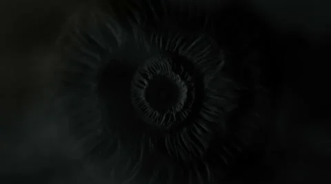 Hole Thing Stock Videos – Royalty-Free HD & 4K Videos