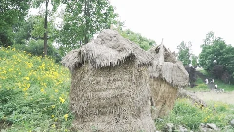 Straw houses constructed in a field | Stock Video | Pond5