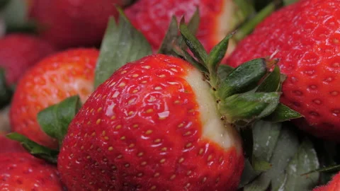 strawberry fruit rotate 4k | Stock Video | Pond5