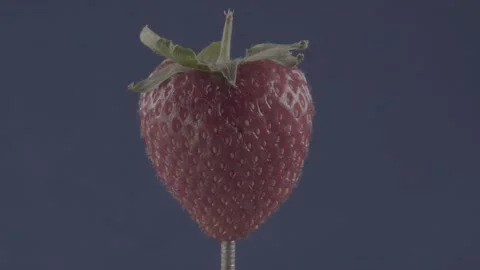 Strawberry rotating with loop on blue sc... | Stock Video | Pond5