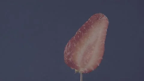 Strawberry rotating with loop on blue sc... | Stock Video | Pond5