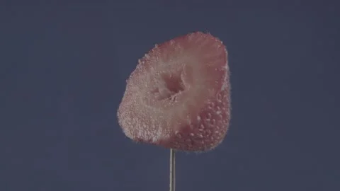 Strawberry rotating with loop on blue sc... | Stock Video | Pond5