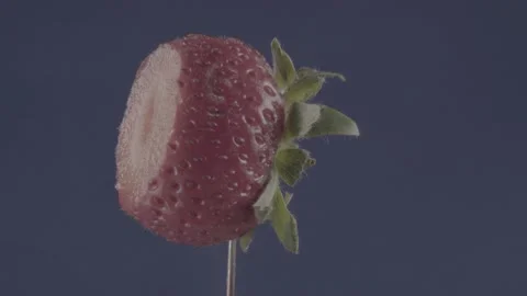 Strawberry rotating with loop on blue sc... | Stock Video | Pond5