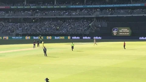 Streaker invades pitch during England vs... | Stock Video | Pond5