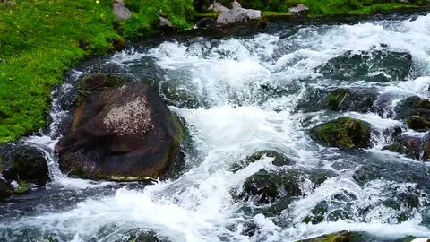Stream with fast running water in the Co... | Stock Video | Pond5