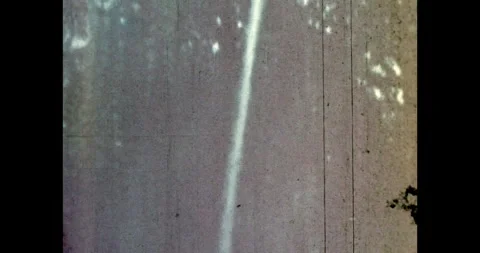 Tree Stream Movies Stock Videos – Royalty-Free HD & 4K Videos | Pond5