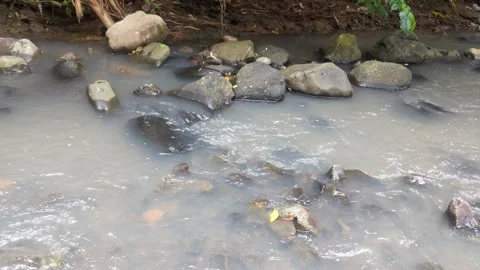 a stream of water that flows naturally i... | Stock Video | Pond5
