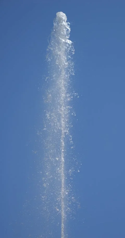 Force Top Stock Videos – Royalty-Free HD & 4K Videos