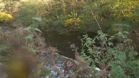 Overflow T Stock Videos – Royalty-Free HD & 4K Videos